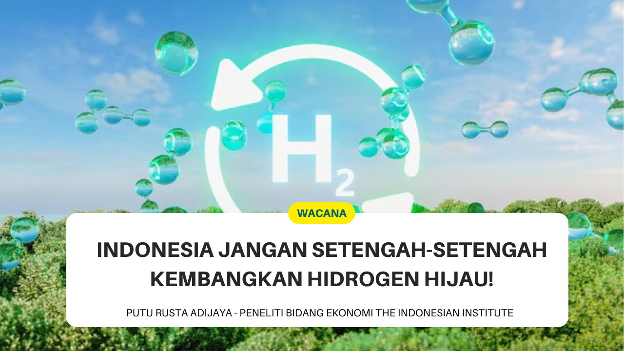Indonesia Jangan Setengah-Setengah Kembangkan Hidrogen Hijau! | The Indonesian Institute